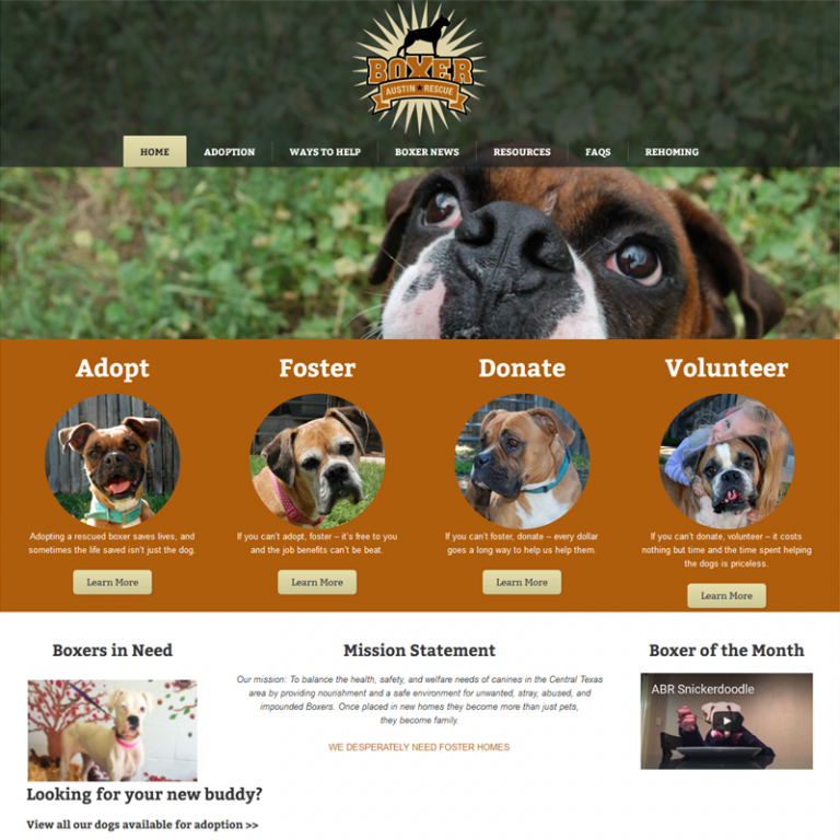 Website Design Austin Texas: Complete Web Design Services